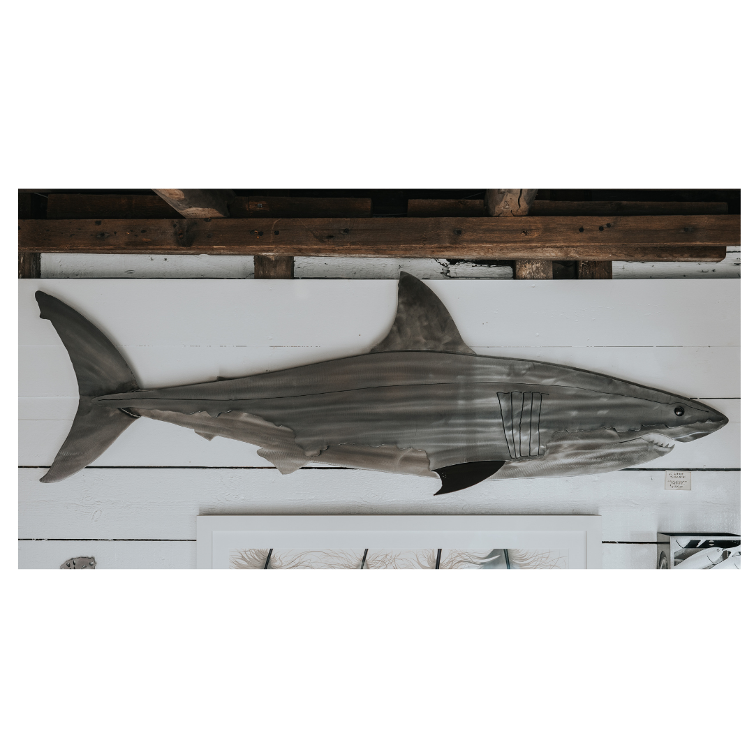 Steve Swain - Fish Schools & Wall Mount Sea Life | Frying Pan Gallery