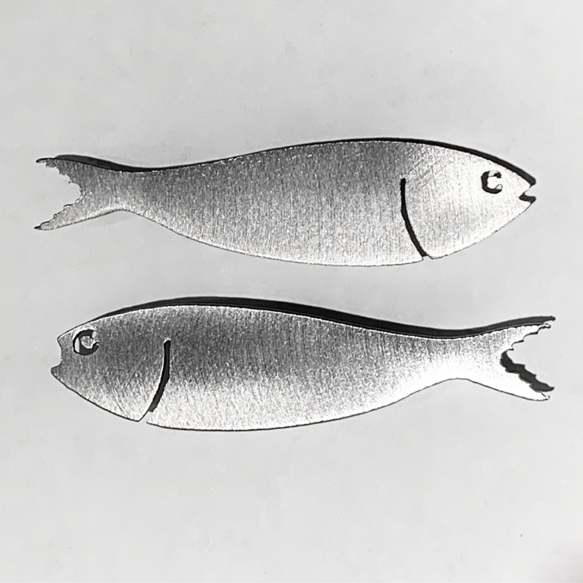 Steve Swain - Fish Schools & Wall Mount Sea Life | Frying Pan Gallery