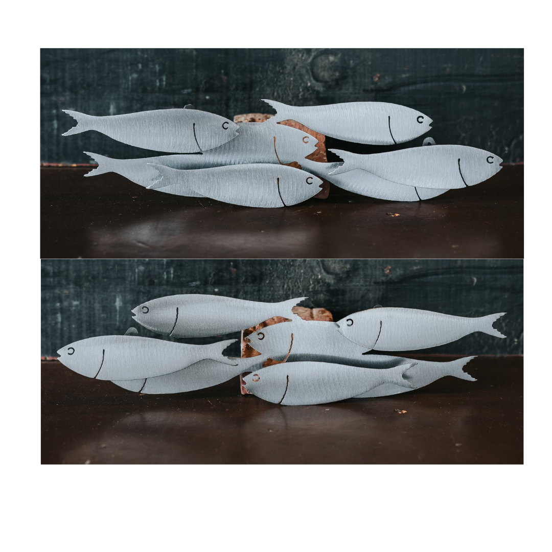 Steve Swain - Fish Schools & Wall Mount Sea Life | Frying Pan Gallery