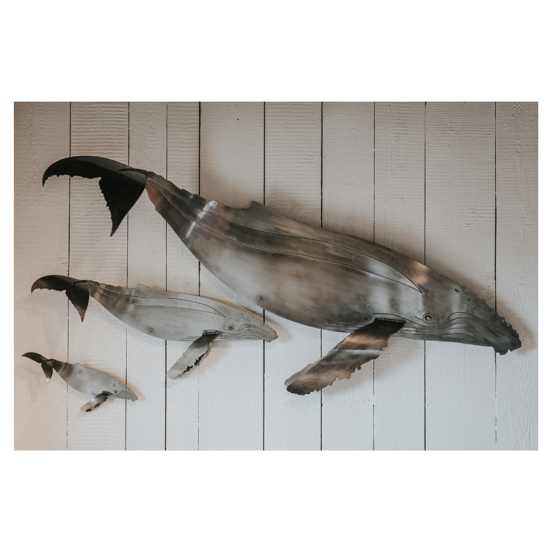 Steve Swain - Fish Schools & Wall Mount Sea Life | Frying Pan Gallery